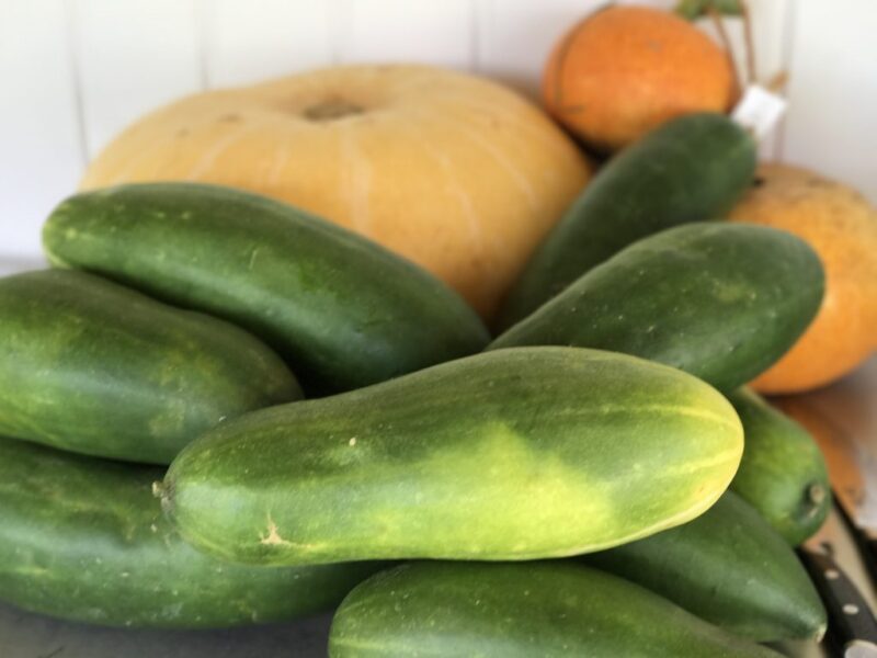 Syltede asier, uden saltning med dild og andre krydderier.